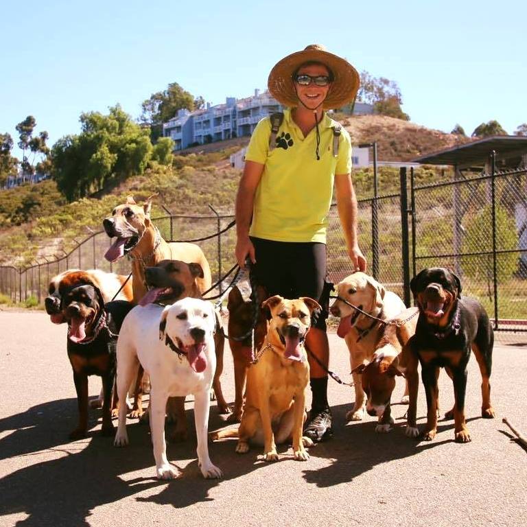 The Noble Dogs - San Diego, CA | Orange Book