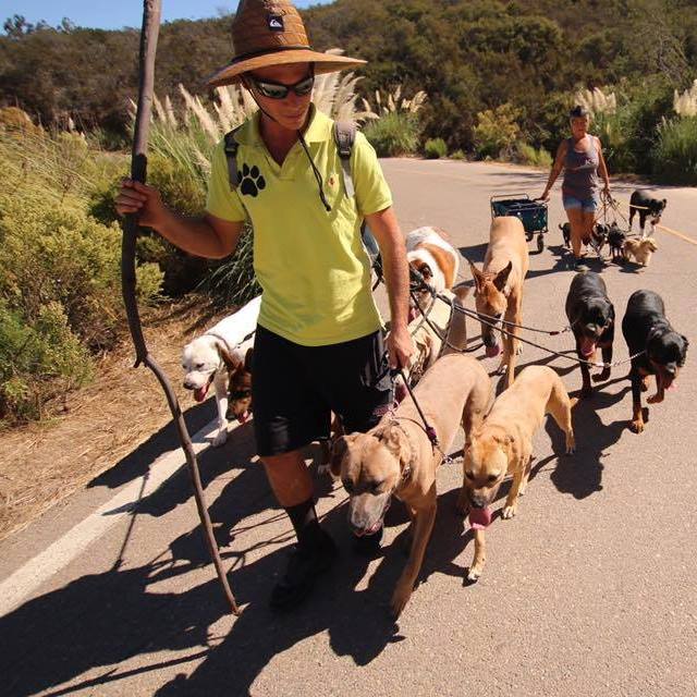 The Noble Dogs - San Diego, CA | Orange Book